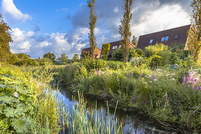 Mulden Rigolen System für die Regenwasserbewirtschaftung